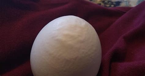 Enjoy This Slightly Lumpy Egg Album On Imgur