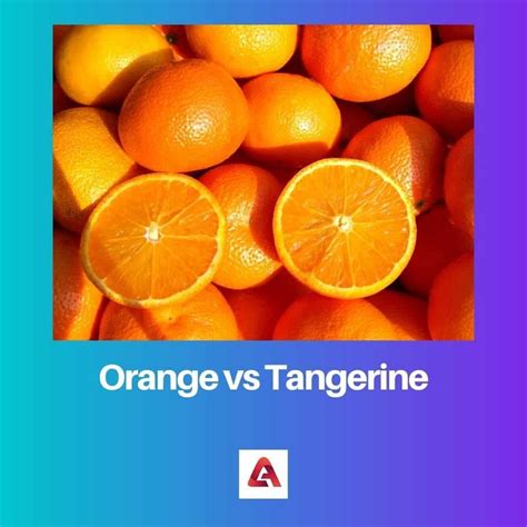Difference Between Orange Mandarin And Tangerine At Lewis Wooley Blog