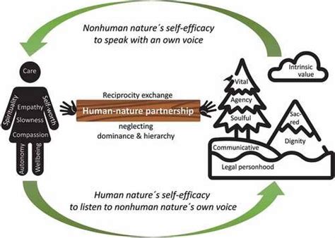 Relationship Between Humankind And Nature Humans Impact On Earth