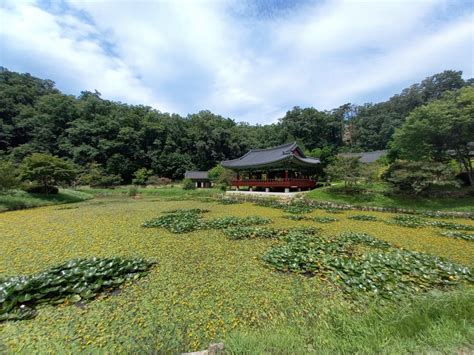 불영사불영계곡울진 내 영혼을 쓰다듬어 주었던 곳 네이버 블로그