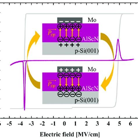 Schematic Representation Illustrating The Electronic Behavior Of The