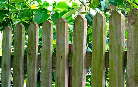 Why Does My Fence Go Green Love Home Designs