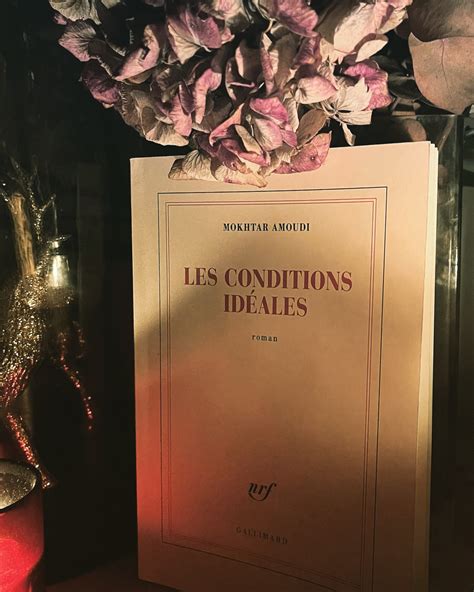 Les conditions idéales de Mokhtar Amoudi Maxi Flash Haguenau