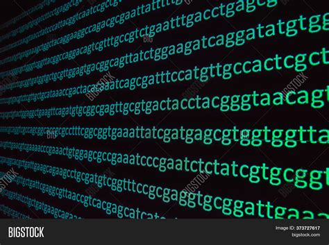 Genome Sequencing Image Photo Free Trial Bigstock