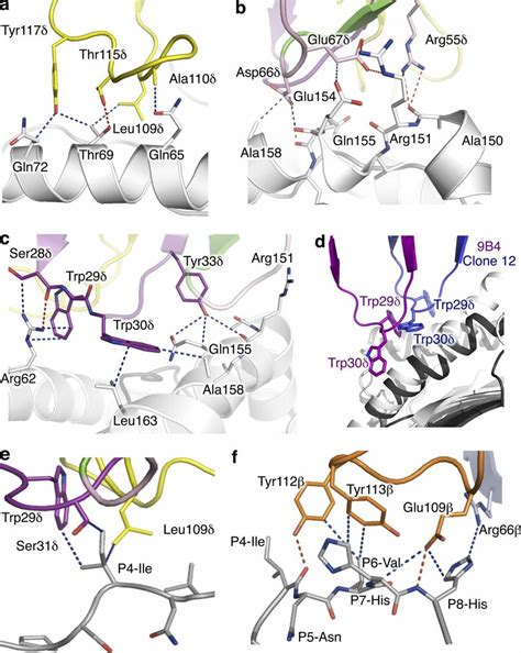 Clone 12 Tcr Hla B 35 01 Ips Interactions A C The Interactions