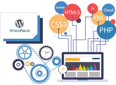 CMS Website Designing In Chennai Skynet Creations