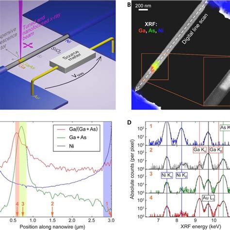 Composition Of The Nanowire Heterostructure Composition Of The