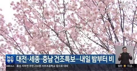 대전·세종·충남 건조특보내일 밤부터 비