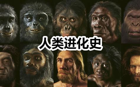 从非洲古猿到现代智人，带你看懂【人类进化史】哔哩哔哩bilibili
