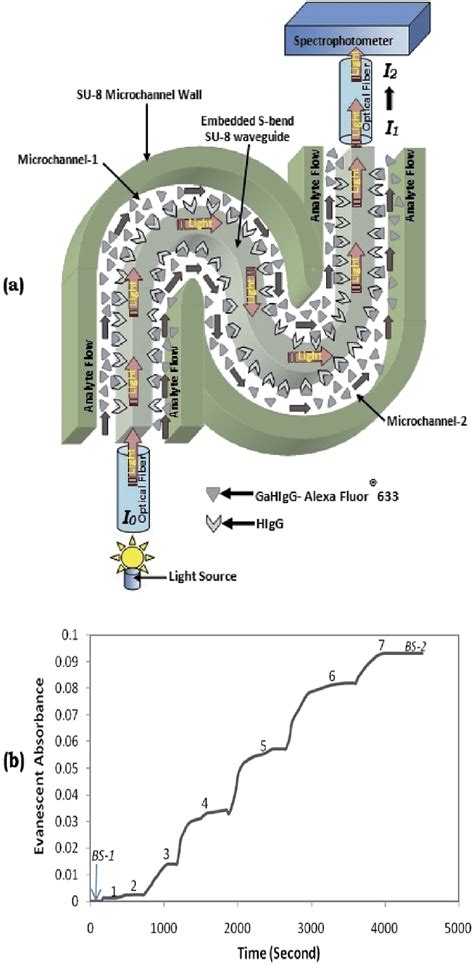 A Schematic Diagram Of Light Ray Propagating In An Embedded S Bend