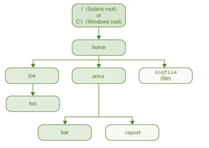 Apex Ways To Get Filename From Path In Python Python Pool