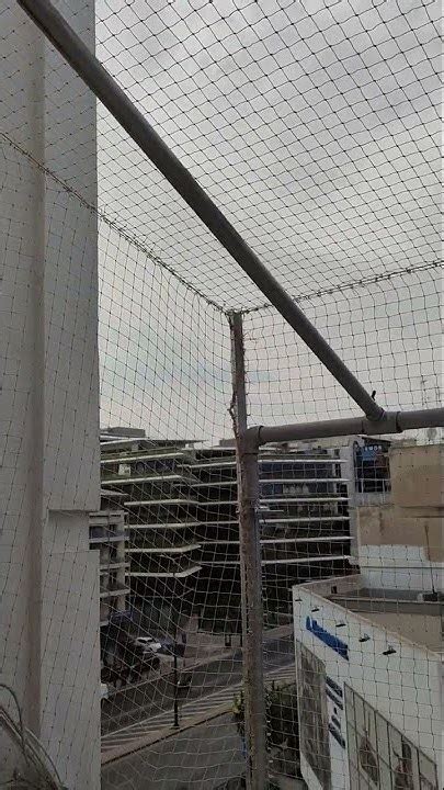Δίχτυ προστασίας για γάτες σε ρετιρε τοποθετημενο με κολωνες ανυψωσης