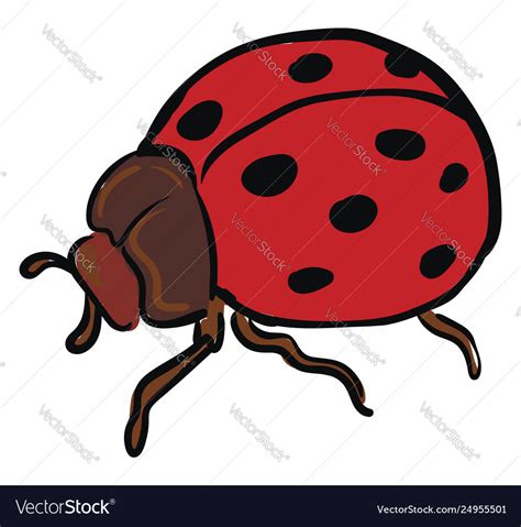 Brown Ladybugs