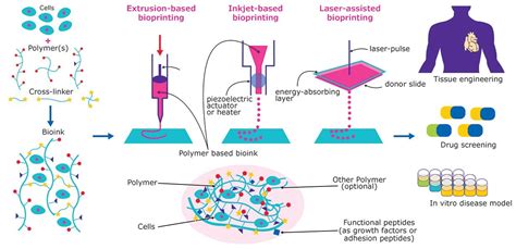 ‘bio Inks Materials Used To Produce Engineered Artificial Live