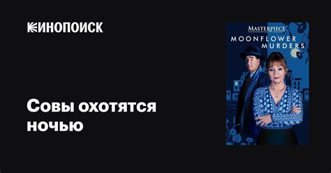 Совы охотятся ночью (сериал, 1 сезон, все серии), 2024 — описание ...