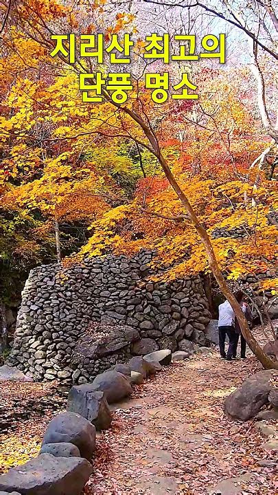 지리산 단풍 명소 어디일까요 마음에 들면 두번터치 Youtube