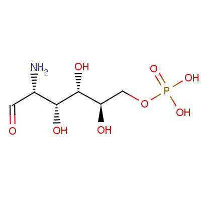D 葡萄糖胺 6 磷酸酯 CAS 3616 42 0 华夏化工网
