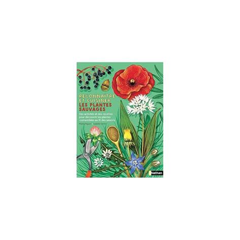 Reconnaître et cuisiner les plantes sauvages Découvrir les plantes comestibles au fil des saisons