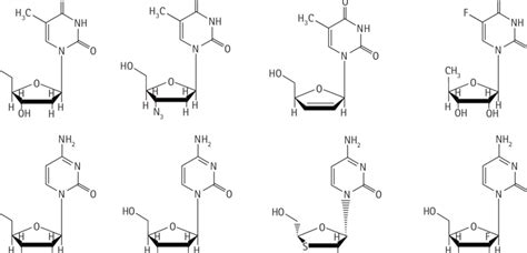 Structures Of Naturally Occurring Nucleosides And Nucleoside Analogues