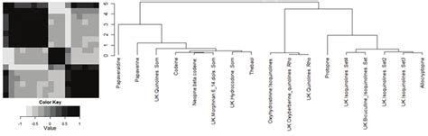 1 A Heatmap Of Estimated Covariance Matrix By Scad Download Scientific Diagram