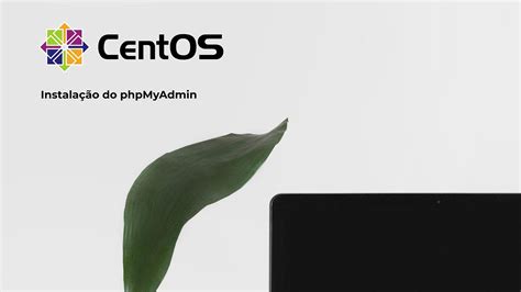 Centos 8 Centos 8 Stream Instalando Um Web Server Localmente Apache Php Mariadb