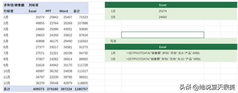 Excel2021系列（十二）getpivotdata函数 正数办公