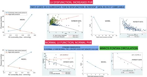 The Effect Of Pulmonary Artery Pulsatility Index PAPi In Heart Failure And In LVADs Is