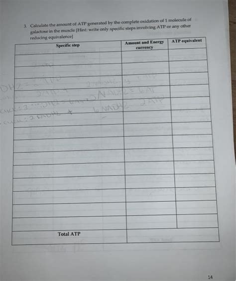 Solved 3 Calculate The Amount Of ATP Generated By The Chegg Com