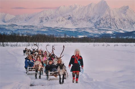 Reindeer Sledding Reindeer Feeding And Sami Culture Tromsø Lapland
