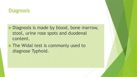 Pathophysiology Of Typhoid Fever And The Workspptx