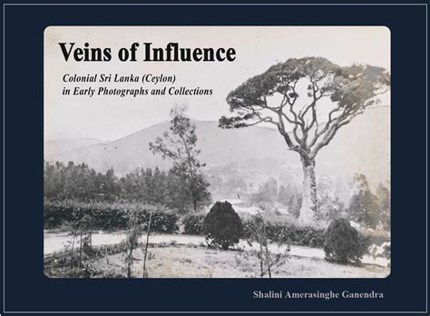 Panda And Cave Co Colombo