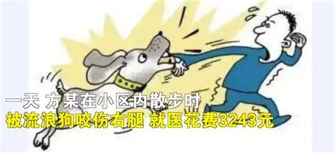 陕西西安，市民方某在小区散步时不慎被一只流浪狗咬伤了右腿宠界新闻
