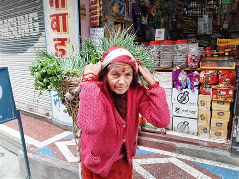 डोकोमा तरकारी बेचेर दैनिक तीन हजारसम्म आम्दानी रासस Setopati