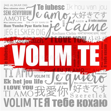 Volim Te I Love You In Croatian Word Cloud In Different Languages Of