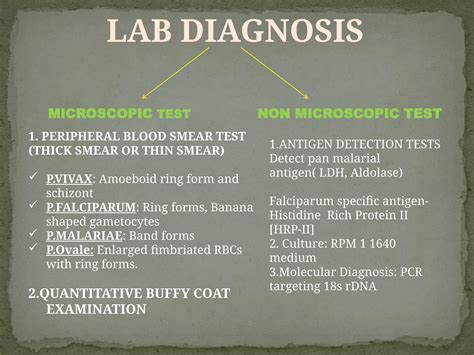 Malaria Life Cycle Patho Physiology Lab Diagnosis Pptx