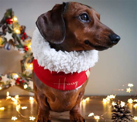 Ultimate Christmas Snood With Option To Add Name Harry And Ginny Designs