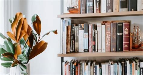 10 Dicas Para Conservar Melhor Seus Livros Blog Da Duconn