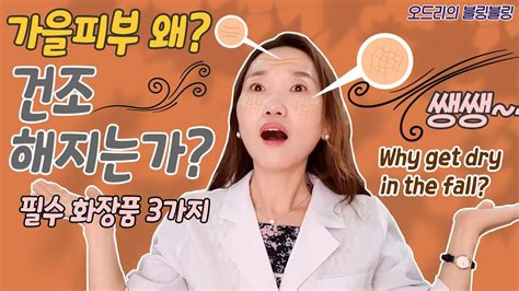 Eng 가을피부는 왜🤷 건조해지는가 건조함 개선 필수화장품 오드리 3가지추천👍 Youtube
