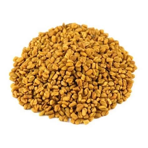 Yellow Methi Dana At ₹ 67kg Methi Seeds In Chennai Id 2852960356933