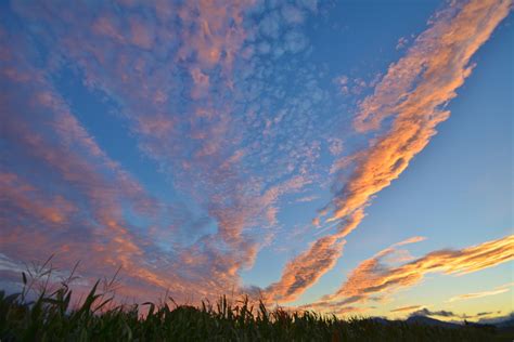 夕焼け小焼け By 眞理 （id：7120479） 写真共有サイトphotohito