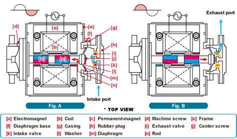 About Linear Pumps HIBLOW