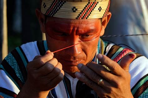 In The Amazon The Ashaninka Tribe Restored Their