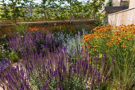 Contemporary Country Garden Greenbook