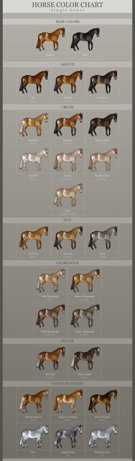 Breeding Color Chart For Horses Horse Breeding Color Chart