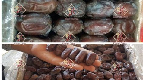 فروش خرمای کلوته صادراتی قیمت خرما کلوته شهریور 1401 تضمین کیفیت