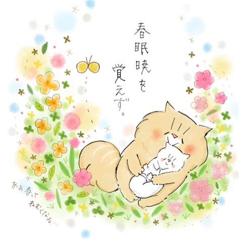 春眠暁を覚えず。 ぷぅにゃん日和。