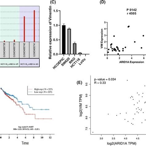 Expression Of Emt‐related Marker Cdh1 And Correlation With Arid1a A