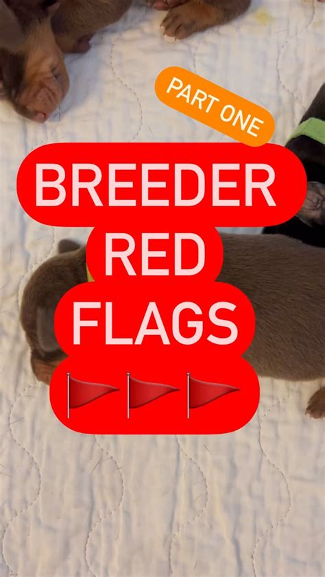 When We Know Better We Do Better Here Are Some Basic Red Flags For