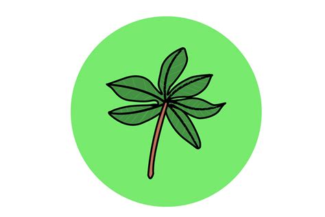 Icon Cassava Leaves Vector Design Graphic By Hujanasam Studio Creative Fabrica