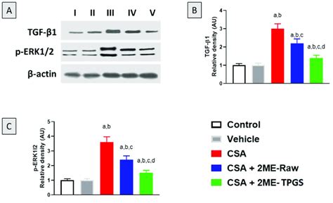 Effect Of 2 Me Tpgs On Tgf β1 And Phosphorylated Erk12 Expression In